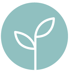 cropped-loho.png – 더본교회